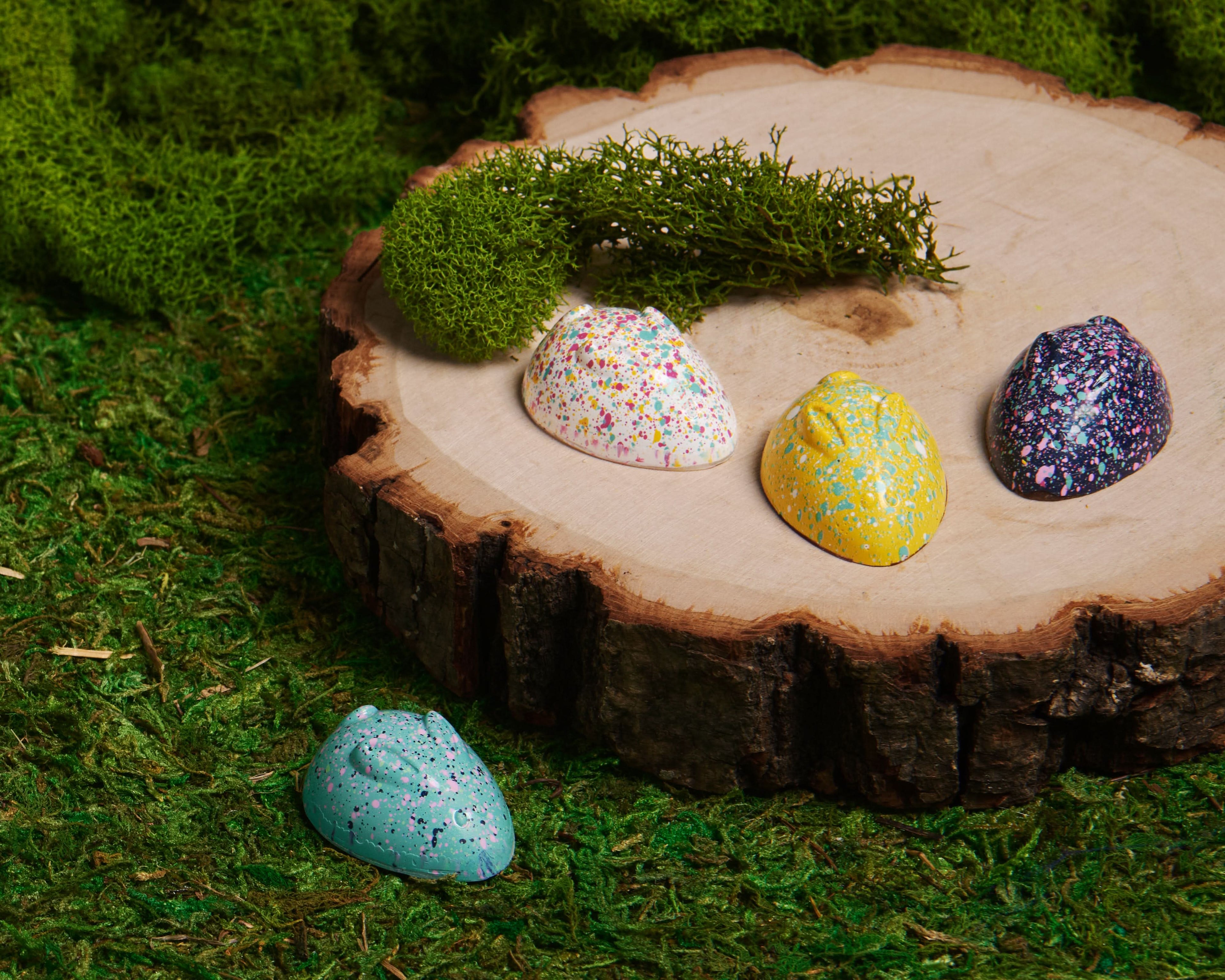 Kate Weiser Chocolate | Hand-Painted Artisan Chocolates